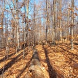 Decew Falls Loop, Ontario, Canada - 310 Reviews, Map | AllTrails