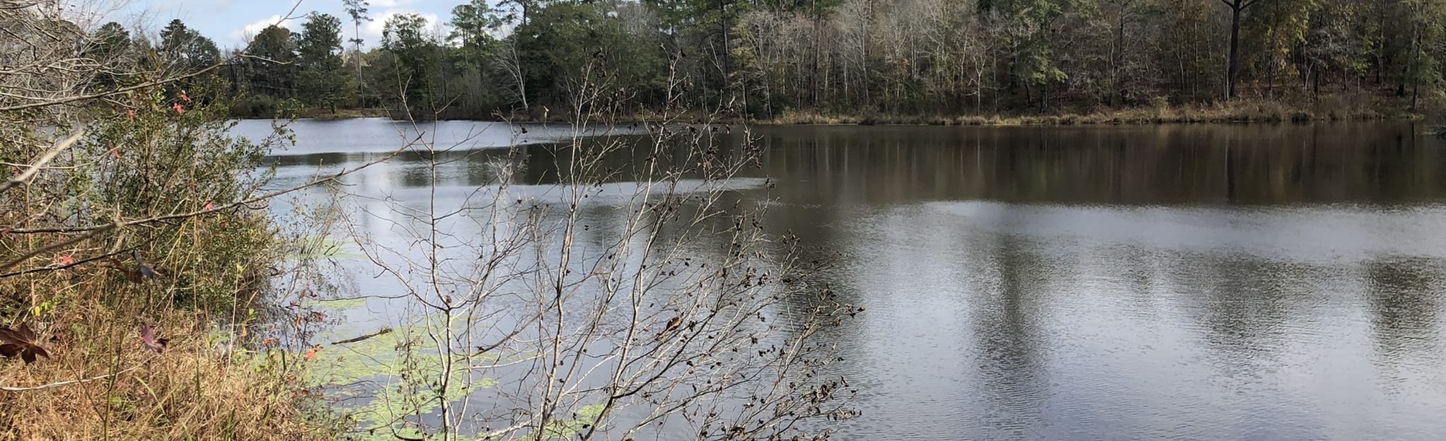 Selma Erwin Nature Trail, 130 Fotos - Georgia | AllTrails