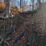 Decew Falls Loop, Ontario, Canada - 310 Reviews, Map | AllTrails