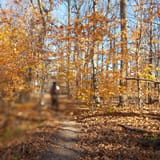 Decew Falls Loop, Ontario, Canada - 310 Reviews, Map | AllTrails