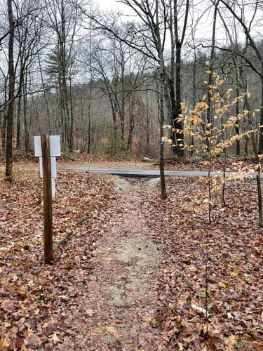 Best Hikes and Trails in Raymond Community Forest | AllTrails