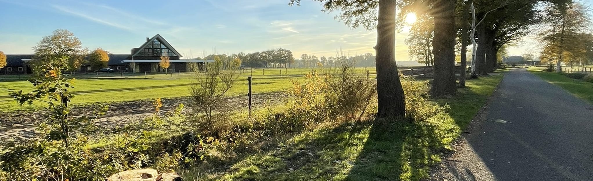 Haarle Gele Wandelroute, Overijssel, Netherlands - Map, Guide | AllTrails