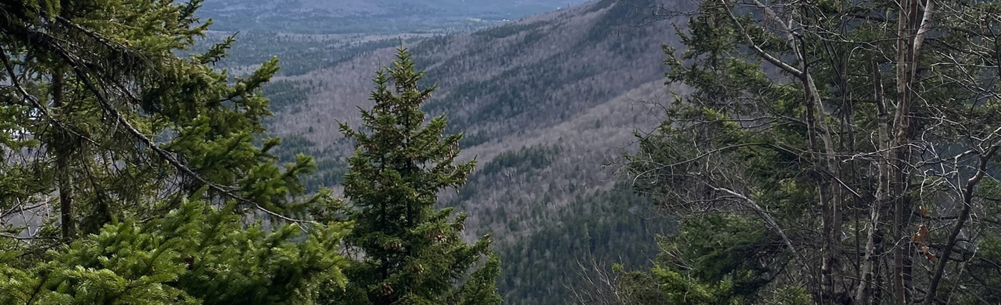 Mount Meader via Basin Rim Trail - New Hampshire | AllTrails