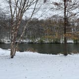 Bee Tree Lake Loop, Missouri - 536 Reviews, Map | AllTrails