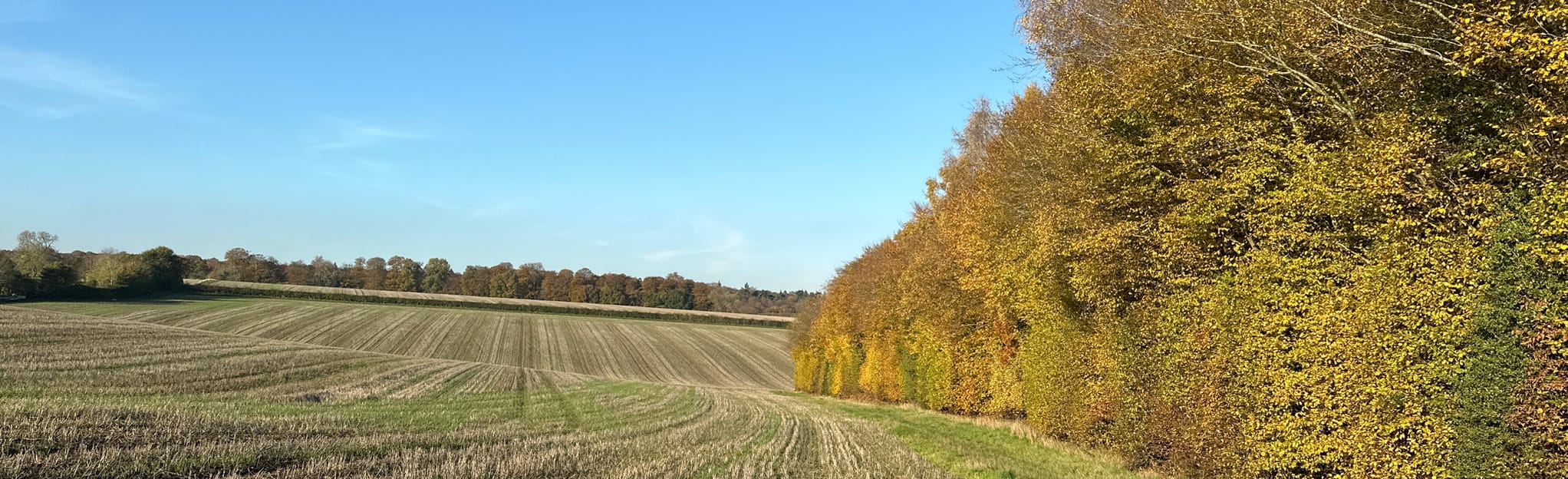 Beaconsfield and Penn Common Wood Circular, Buckinghamshire, England ...