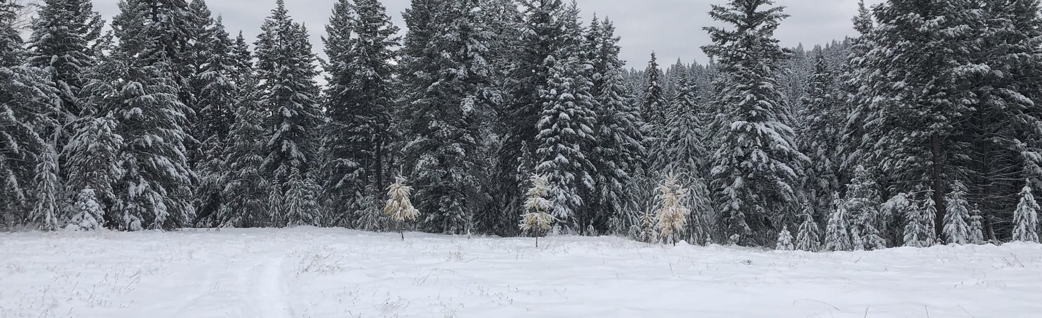 Bush Lake Small North Loop: 20 Reviews, Map - British Columbia, Canada ...