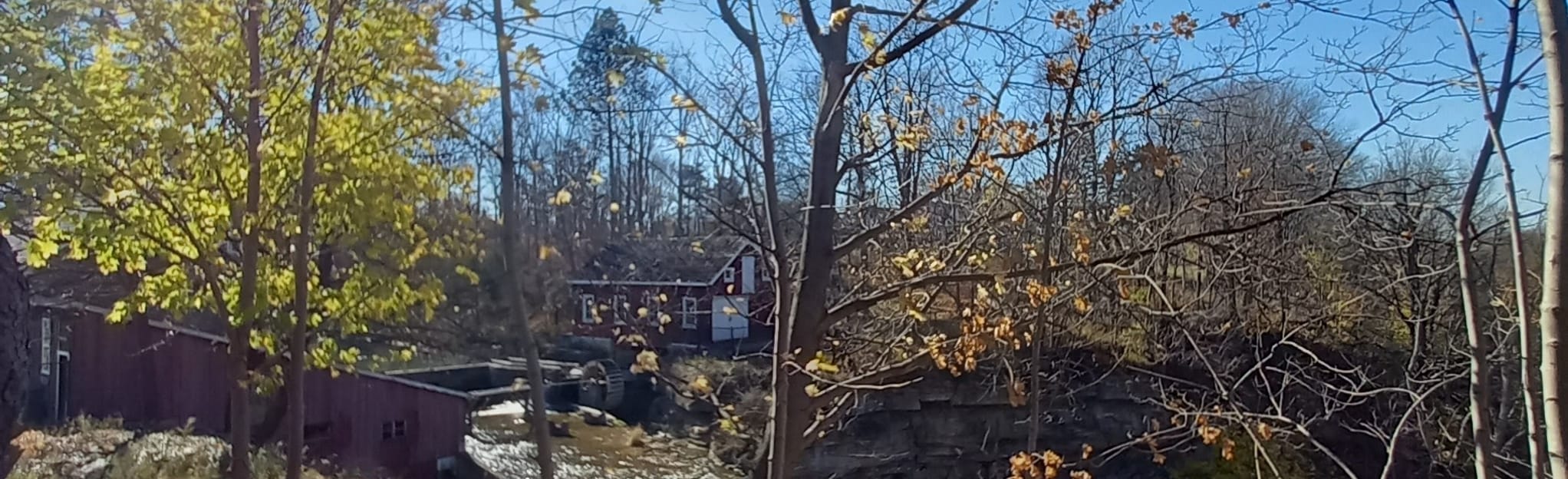 Black Walnut, Very Berry, and Laura Secord Trails: 107 Reviews, Map ...