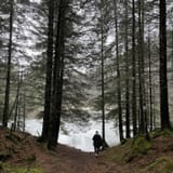 Two Lakes Trail, Alaska - 380 Reviews, Map | AllTrails