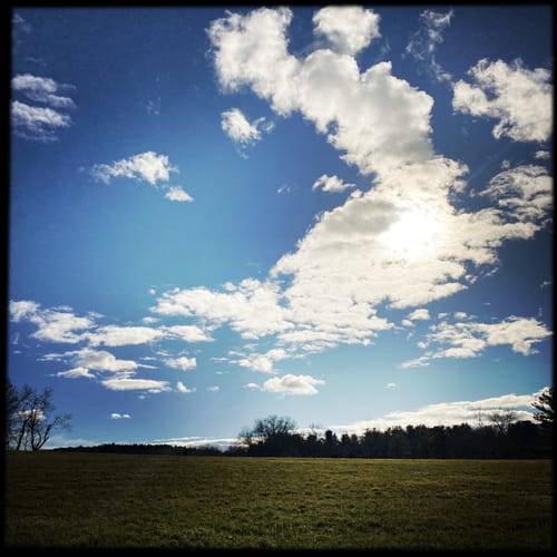 Best Hikes and Trails in Battis Farm | AllTrails