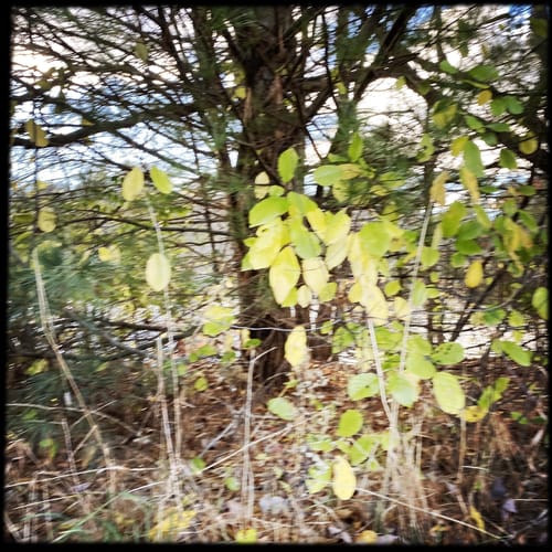 Best Hikes and Trails in Battis Farm | AllTrails