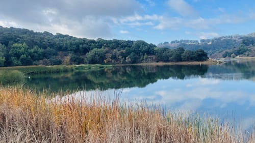 Lake Chabot Regional Park : les 10 meilleures randonnées avec un lac en ...