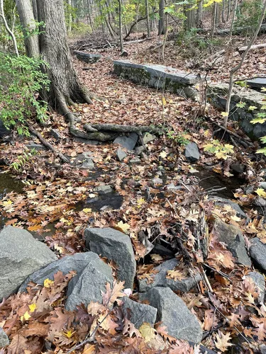 Best Hikes and Trails in Allison Park | AllTrails