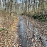 Paulinskill Valley Rail Trail , New Jersey - 163 Reviews, Map | AllTrails