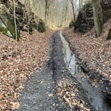 Paulinskill Valley Rail Trail , New Jersey - 163 Reviews, Map | AllTrails