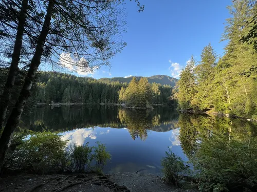 10 Best Wheelchair Friendly Trails in British Columbia | AllTrails