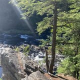 Contoocook River Trail, New Hampshire - 125 Reviews, Map | AllTrails