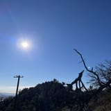 Newhall Pass: Weldon Canyon Trail, California - 236 Reviews, Map ...