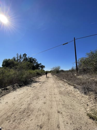 Best Hikes and Trails in Camp Pendleton | AllTrails