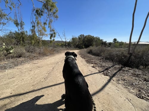 Best Hikes and Trails in Camp Pendleton | AllTrails