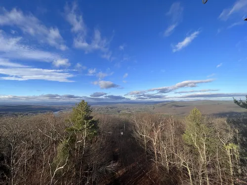 10 Best Hikes and Trails in Mount Toby State Forest | AllTrails