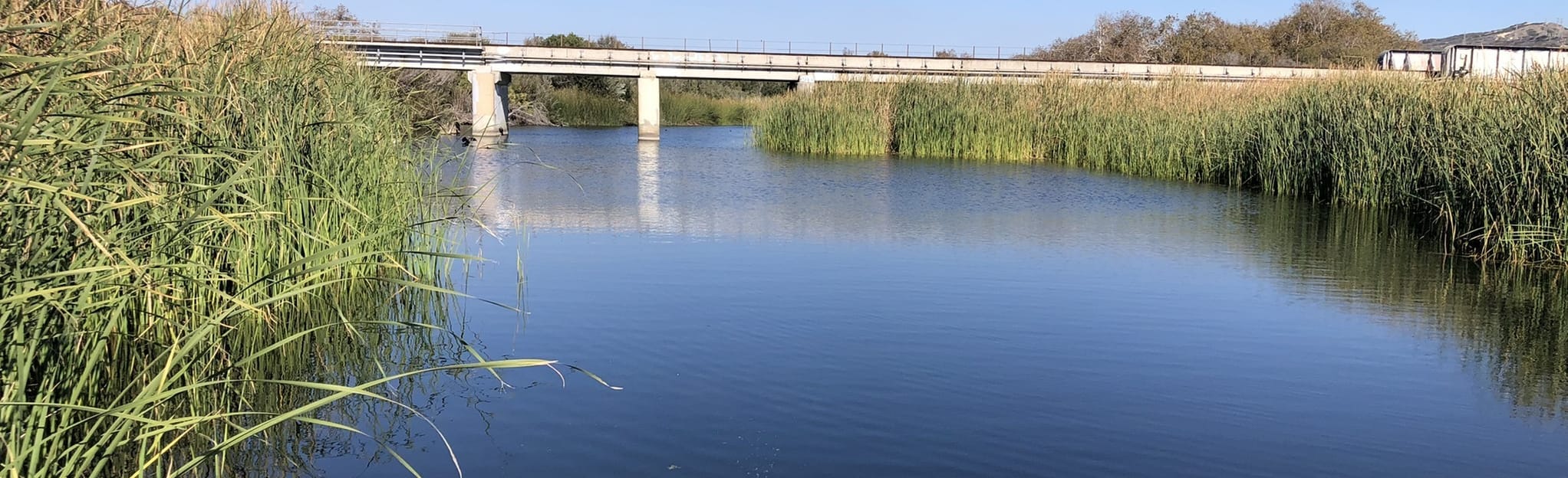 Trestles Beach, California - 244 Reviews, Map | AllTrails