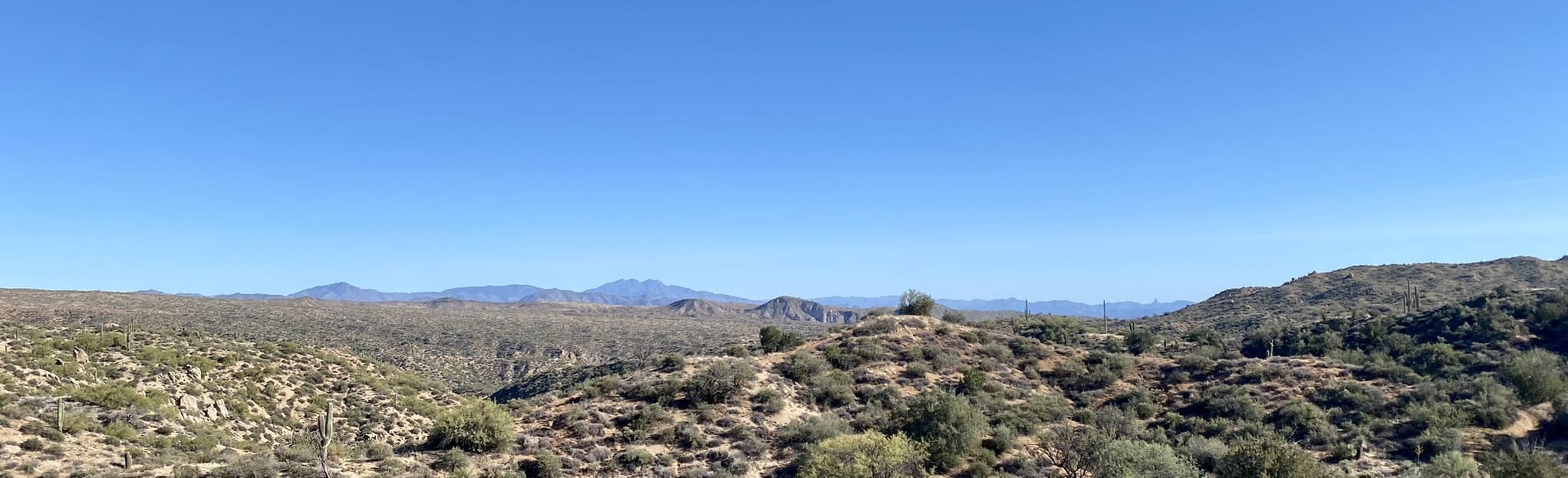 Blue Wash Trail - Arizona | AllTrails