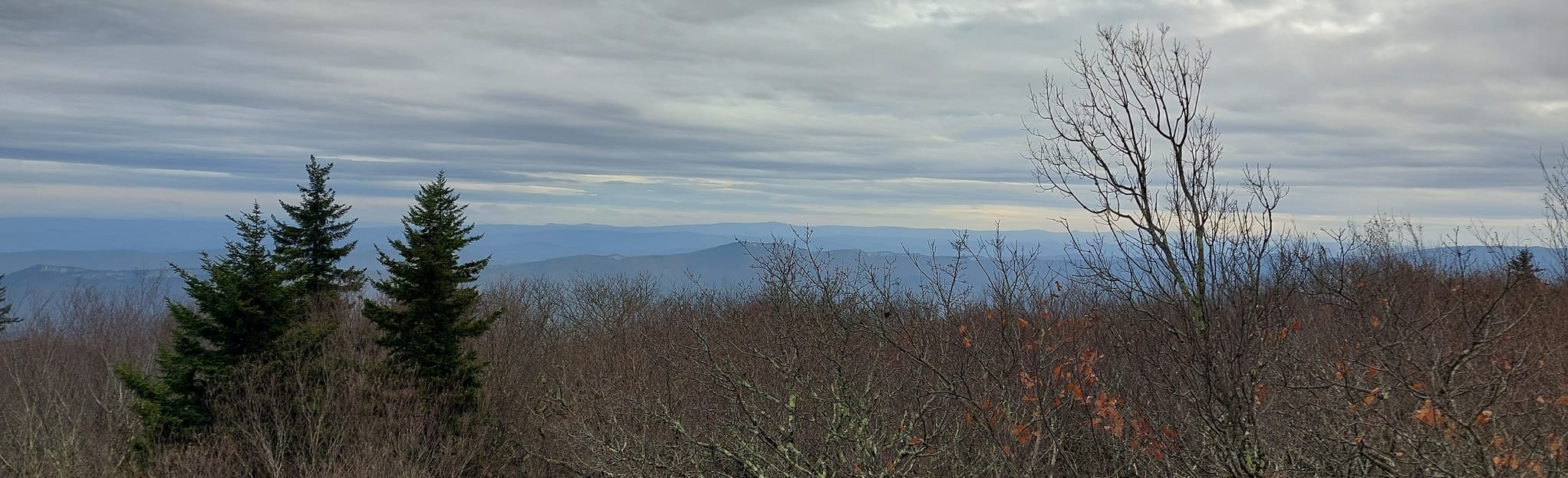 Bell Knob Lookout Tower Trail: 26 Reviews, Map - West Virginia | AllTrails