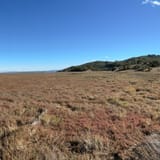 Turtleback Point Loop, California - 155 Reviews, Map | AllTrails