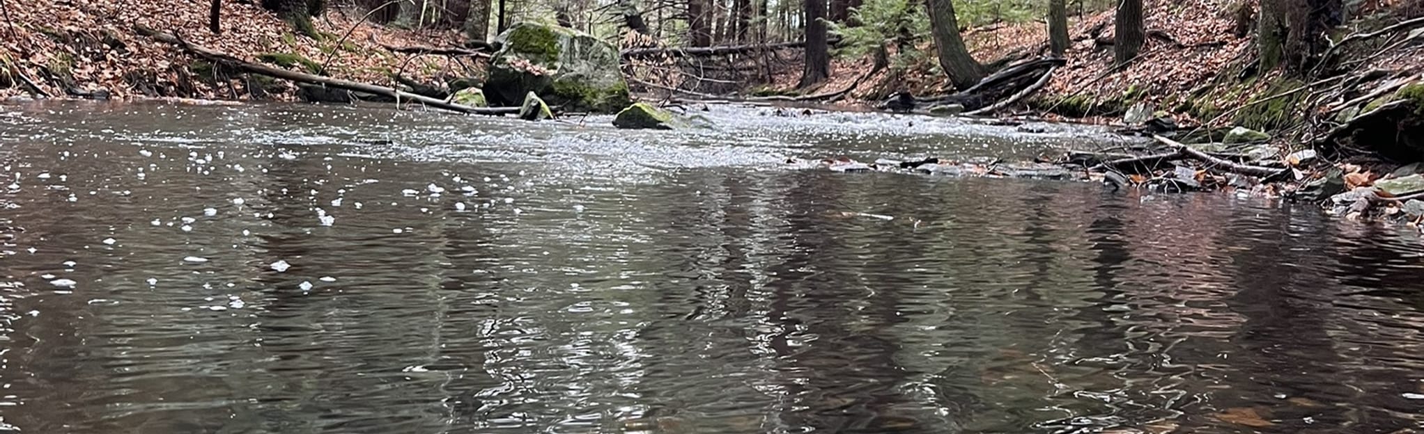 Split Rock Conservation Area Loop - New Hampshire | AllTrails