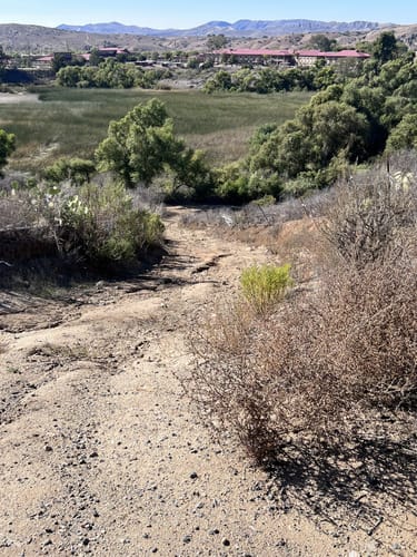 Best Hikes and Trails in Camp Pendleton | AllTrails
