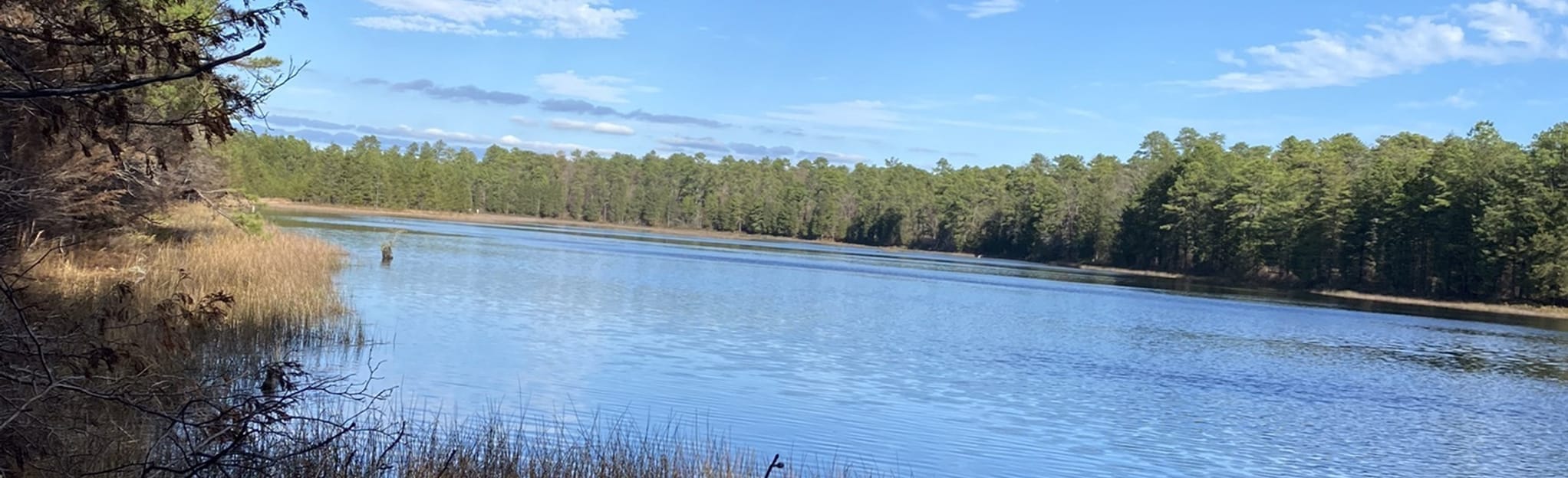 Mullica River Trail, New Jersey - 275 Reviews, Map | AllTrails