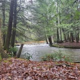 Quebec Run Outer Loop, Pennsylvania - 335 Reviews, Map | AllTrails