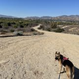Hansen Dam Bike Path Trail, California - 513 Reviews, Map | AllTrails