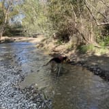 Hansen Dam Bike Path Trail, California - 513 Reviews, Map | AllTrails