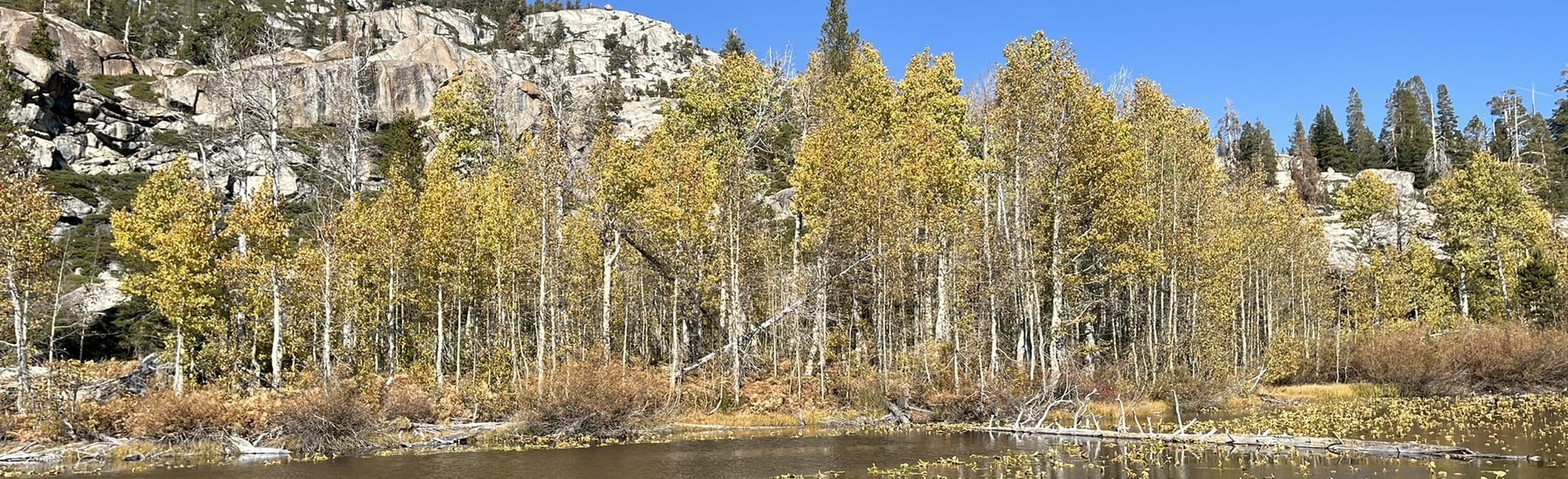 Lower Emigrant Wilderness Shorter Loop: 18 Reviews, Map - California ...