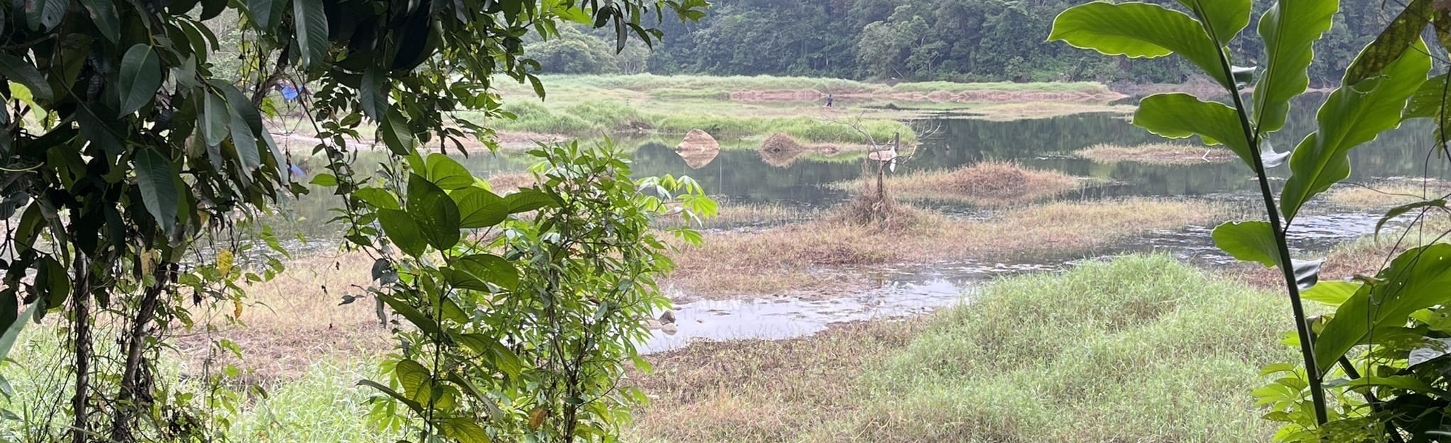 Batu Dam Loop, Selangor, Malaysia - 4 Reviews, Map | AllTrails