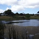 Majik Forest Walking Trail, Western Cape, South Africa - 189 Reviews ...