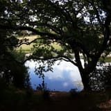 Majik Forest Walking Trail, Western Cape, South Africa - 189 Reviews ...