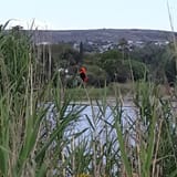 Majik Forest Walking Trail, Western Cape, South Africa - 189 Reviews ...