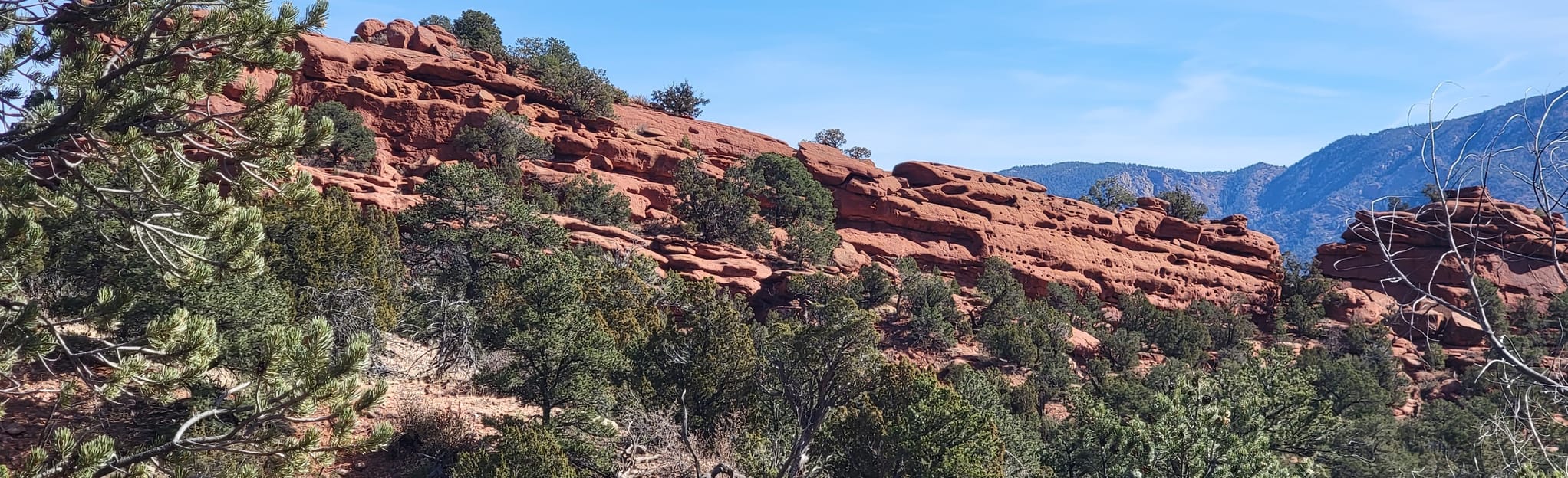 Red Canyon Park, Colorado - 41 Reviews, Map | AllTrails