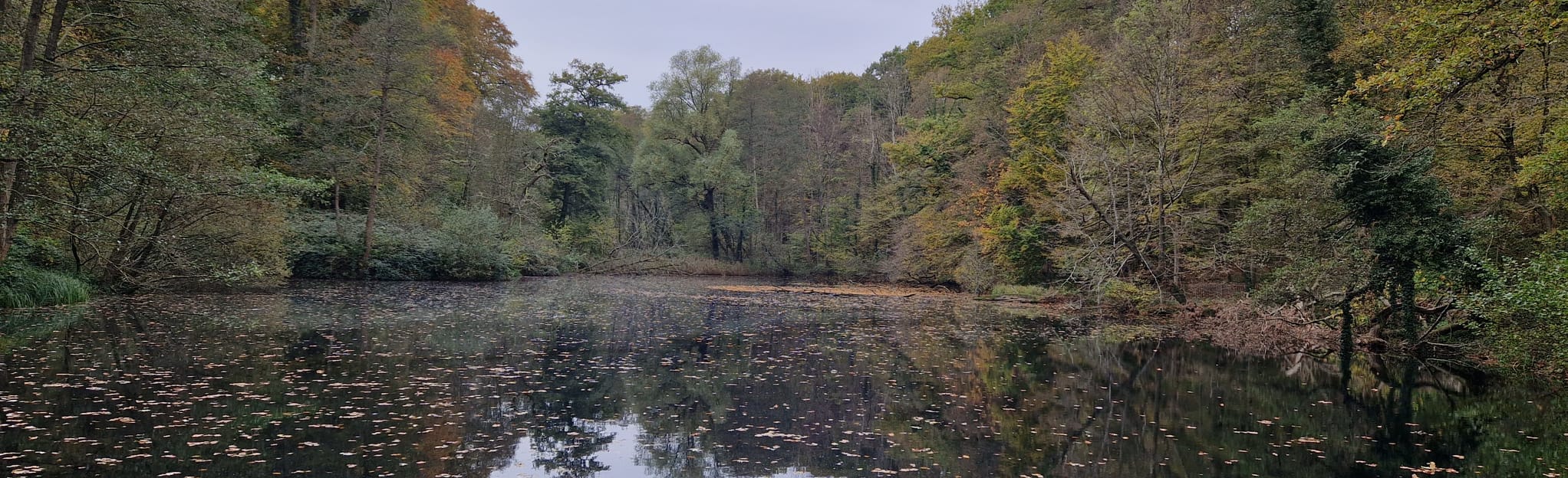 Watermael Boitsfort - Forêt de Soignes : Grand Circuit : 232 Photos ...