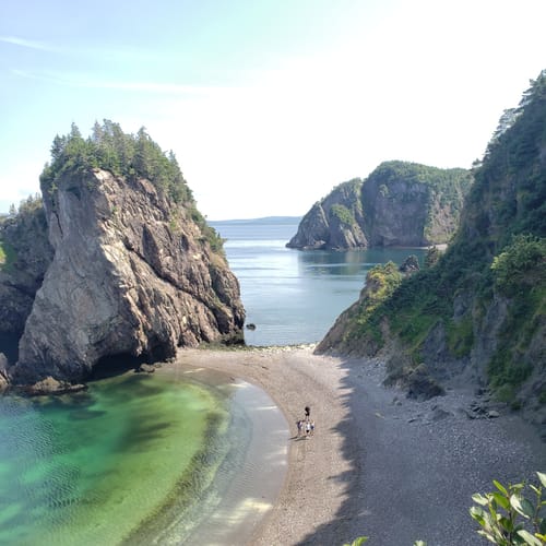 Best Hikes and Trails in Chance Cove | AllTrails