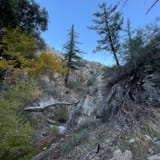 Devils Canyon Trail, California - 206 Reviews, Map | AllTrails