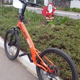 Majik Forest Walking Trail, Western Cape, South Africa - 189 Reviews ...