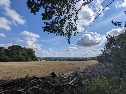 10 Best Hikes and Trails in Martin Down National Nature Reserve | AllTrails