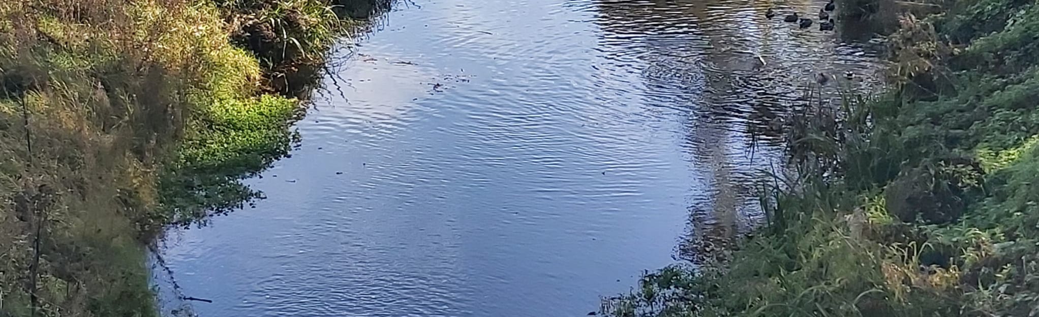 Castletown House: 40 Reviews, Map - County Kildare, Ireland | AllTrails