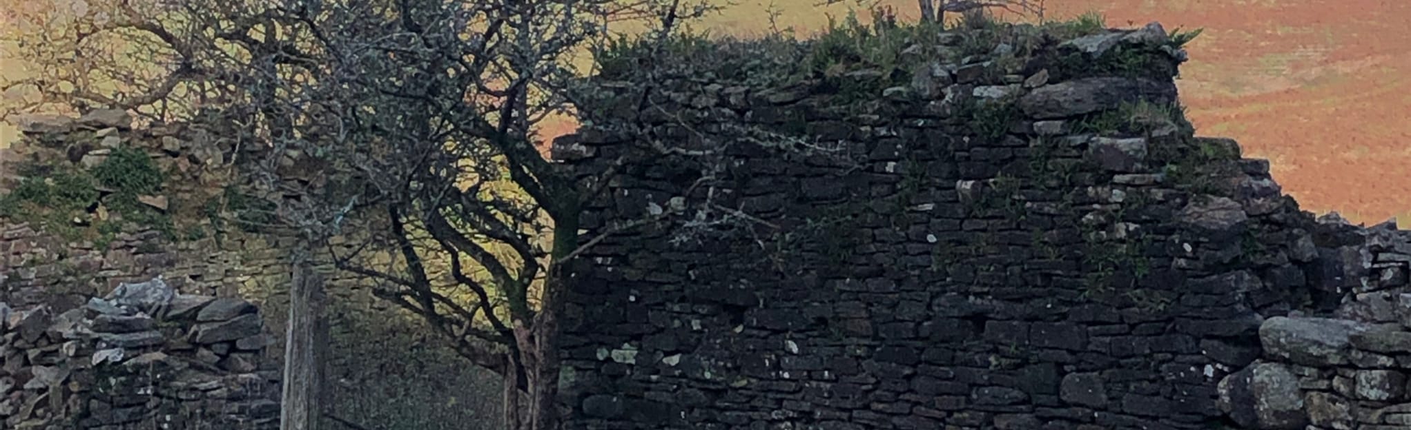 Afan Park Circular: 9 Reviews, Map - Neath Port Talbot, Wales | AllTrails