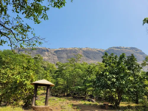 Best Hikes and Trails in Vikramgad | AllTrails