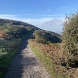 Brean Down Fort, Somerset, England - 259 Reviews, Map | AllTrails