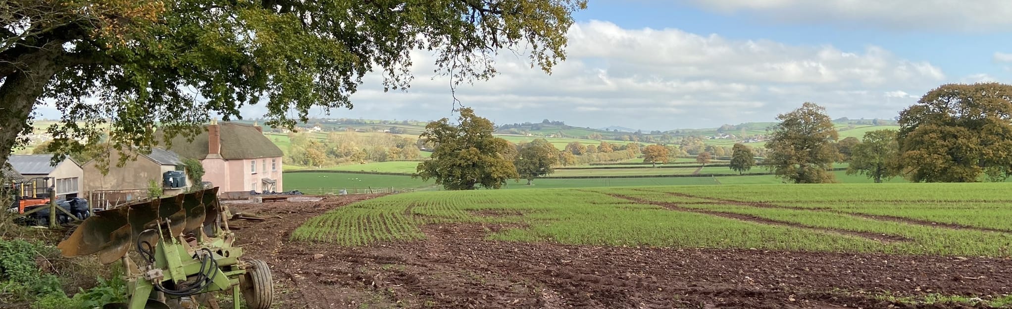 Copplestone Circular: 7 Reviews, Map - Devon, England | AllTrails